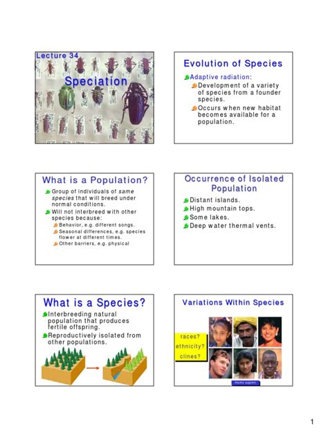 Species Speciation Evolution Pdf Species Evolution
