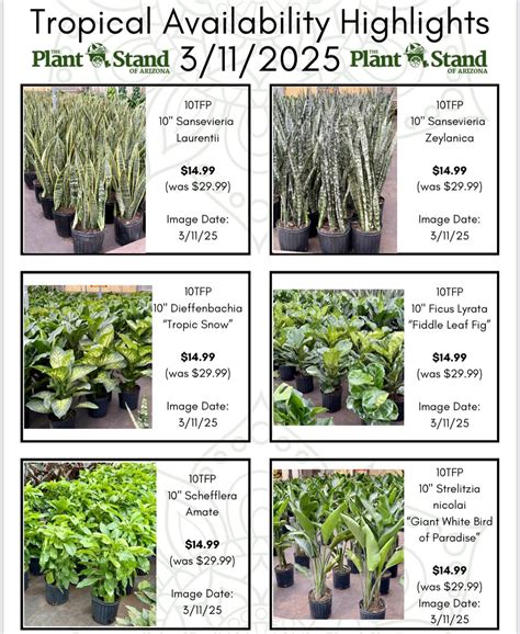 The Plant Stand Of Arizona Theplantstandaz • Instagram Photos And Videos