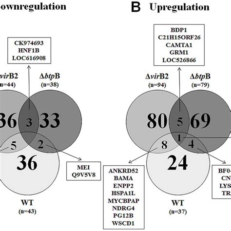 A Ichthyosis Linearis Circumflexa Over The Trunk Download Scientific Diagram