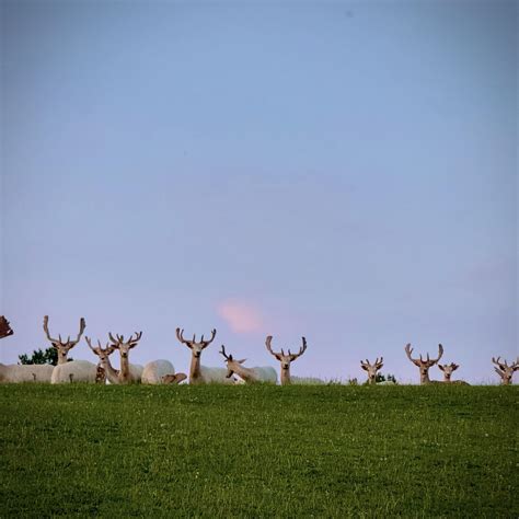 Bar C Ranch Bar C Ranch Added A New Photo