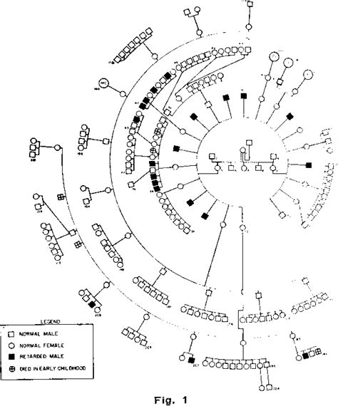 Figure 1 From Familial Sex Linked Mental Retardation Semantic Scholar