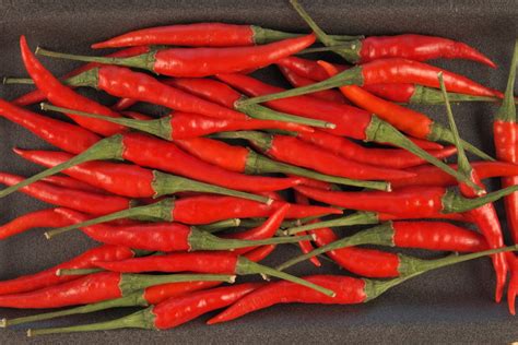 Thai Pepper Hours At Pearl Murray Blog