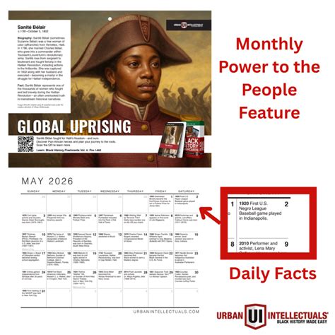 2026 Black History 365 Facts Wall Calendar Power To The People