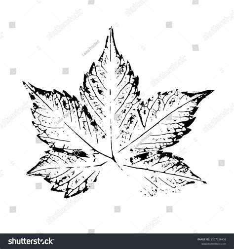 Print Black Leaf Vector Isolated On Stock Vector Royalty Free