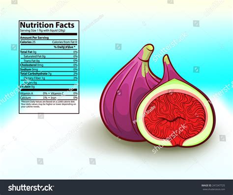 Freshness Common Fig Nutrition Facts Vector Stock Vector Royalty Free