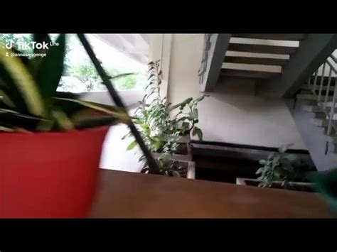 Anna Sengenge On Linkedin Recycling And Reuse Is A Power For Keeping Planet Earth Health Happy…