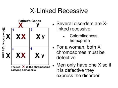 Ppt Pedigrees And Genetic Analysis Powerpoint Presentation Free