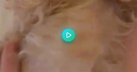 I Have A Tonsil Abscess But Luna Doesnt Seem To Mind Me Having To Stay Home  On Imgur