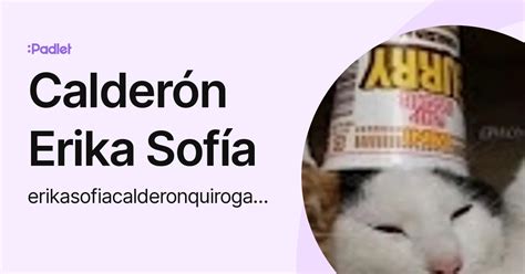 Calderón Erika Sofía Erikasofiacalderonquiroga95 Profile Padlet