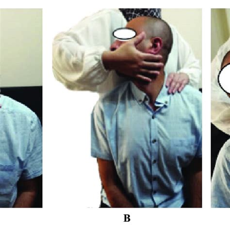 Deep Neck Flexor Muscles Strengthening Exercises Download Scientific