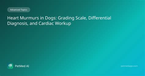 Heart Murmurs In Dogs Grading Scale Differential Diagnosis And