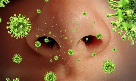 Functional Endoscopic Sinus Surgery Gold Safe Approach For Patients With Fungal Ball