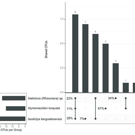 Upset Plot Showing The Number Of Shared Otus And Representing The