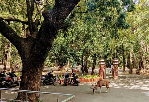 Ug And India Open Call For Proposals In Hydrogen Fellowship Scheme