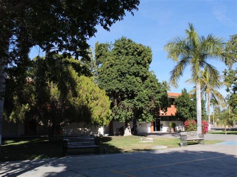 Hermosillo Solo Tiene Dos Pulmones Verdes Unison Y Parque Madero