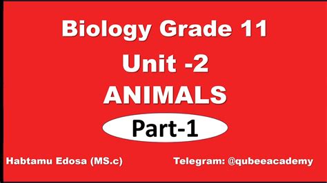 1 Biology Grade 11 Unit 2 Animals Part 1 Qubee Academy Afan