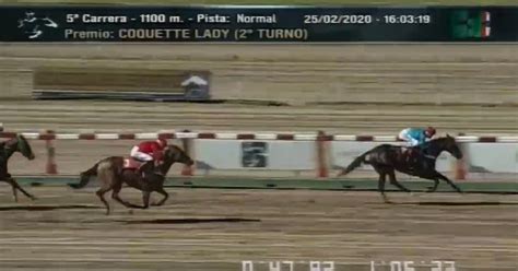 Pasion Turfistica Clara Victoria De La Dosañera Whitty En La Plata