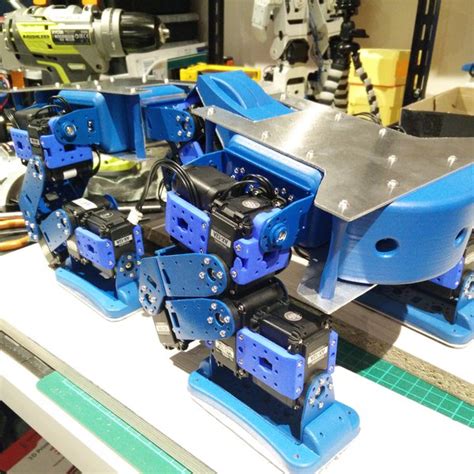 Quadruped Robot With 22 Dof