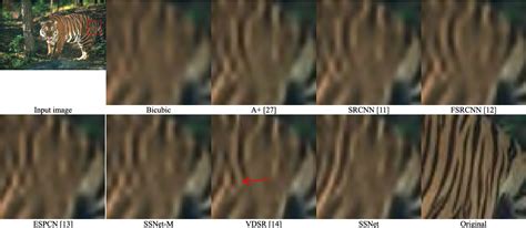 Figure 14 From Real Time Image Super Resolution Using Recursive