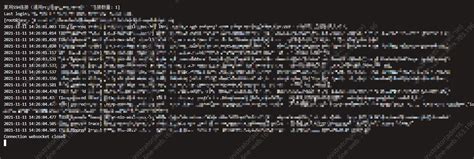 Bug V2153使用web终端出现connection Websocket Closed · Issue 7171