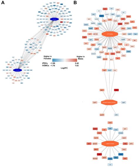 Identification Of Disease Relevant Sex Based Proteomic Differences In