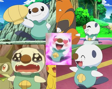 Oshawott Anime