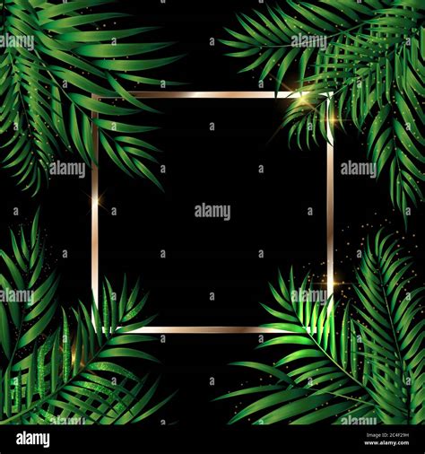 Tropical Natural Green Palm Background Vector Illustration Stock