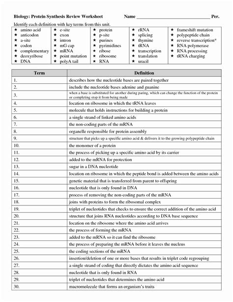 Protein Synthesis Practice Worksheet E