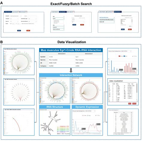 New Search Function And Data Visualization Of The Rna Interactome A Download Scientific