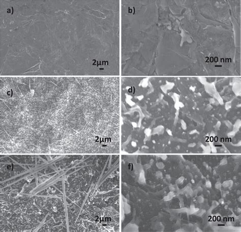 Field Emission Scanning Electron Micrographs Of Cuocuoh2 6 Nm Onto