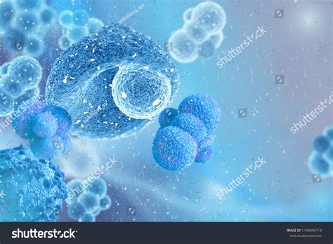 16 Microscopic Cells Process Division Float Plasma Blue Palette 3d