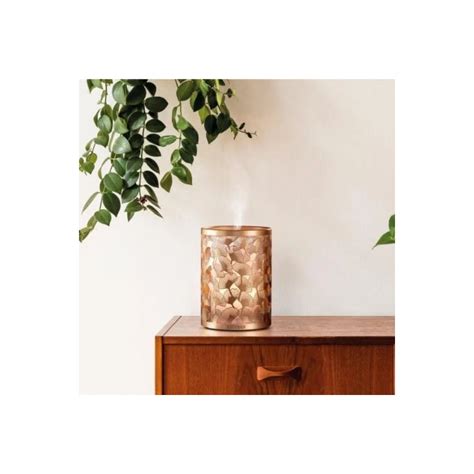 Copper And Light Edition Aroma Perfume Mist Diffuser By Estéban