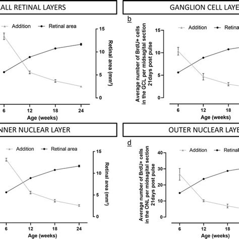 The Inverse Correlation Between Cell Addition And Retinal Area In The