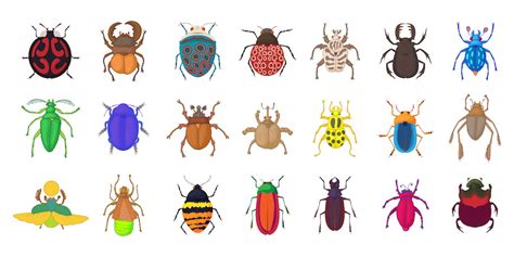 American Pest Management Physical Pest Control