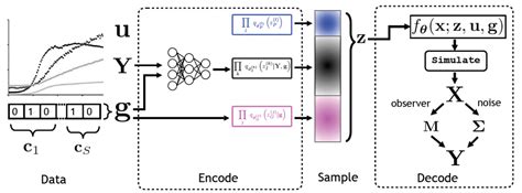 Efficient Amortised Bayesian Inference For Hierarchical And Nonlinear