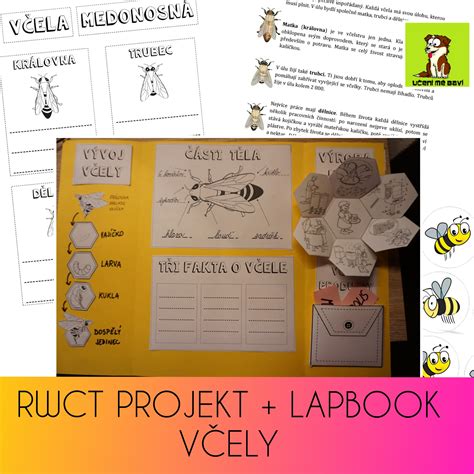 Projekt Lapbook VČely Prvouka Učiteléučitelůmcz