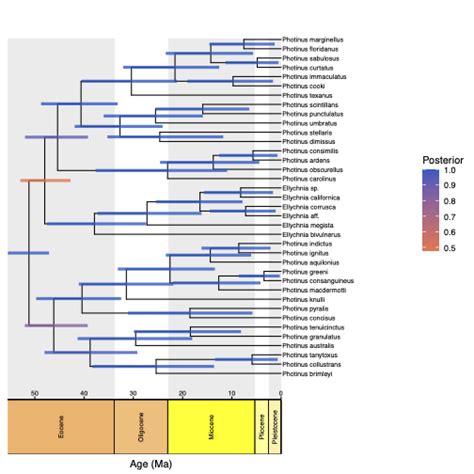 Revbayes Stepwise Bayesian Inference Of Phylogeny