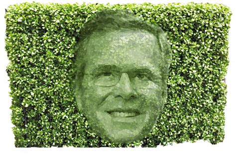 Download Clipper Next Bush Hedge Jeb Bush Hedge Full Size Png Image