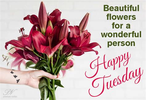 Happy Tuesday Beautiful Flowers For You Premium Wishes