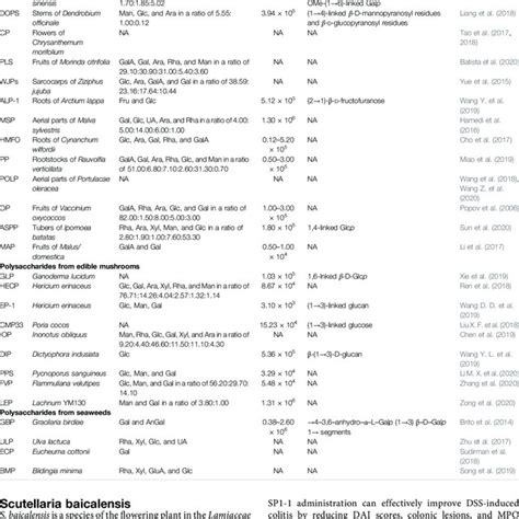 Current Overview On The Pathogenesis Of Ibd Download Scientific Diagram
