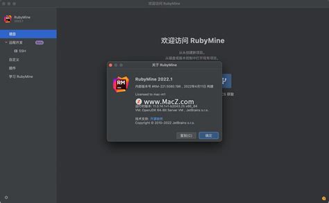 代码编辑rubymine20221中文激活版 哔哩哔哩