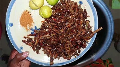 Cuisine Africaine Manger Du Criquet Une Délicatesse Étonnante