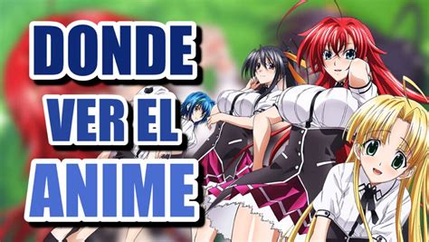 High School Dxd Dónde Ver Al Completo El Anime Ecchi Definitivo