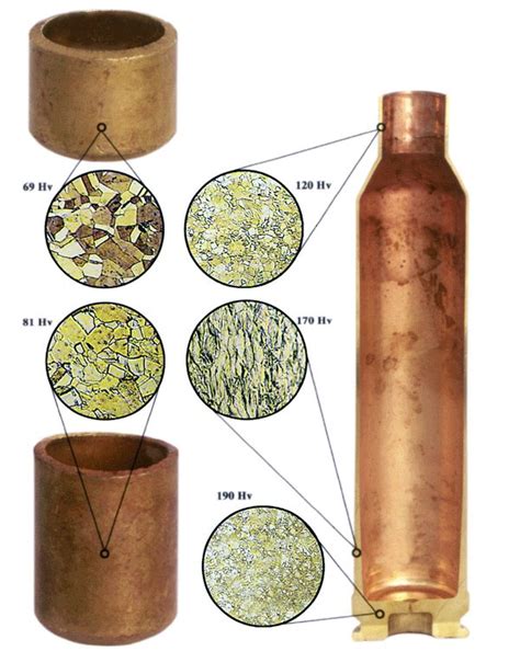 Norma 220 Swift Blaser Reloading Brass Habitat Africa