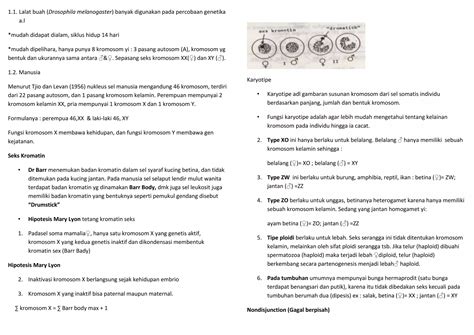 Rangkuman Genetika Docx