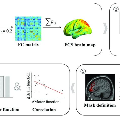 Longitudinal Study Design Flowchart Patients Underwent Five