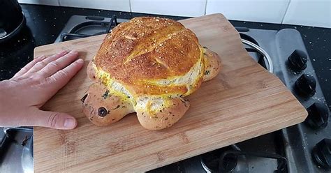 Beach Turtle Loaf Album On Imgur