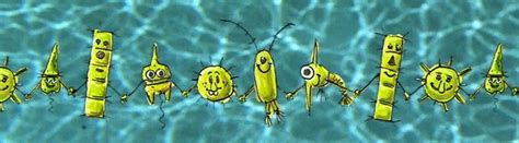 Anyone Thought These Were Weird Spongebobs R Spongebob