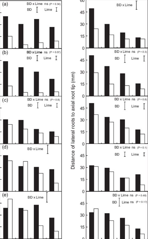 Effect Of Lime Lime Black No Lime White And Bulk Density On Number Download Scientific