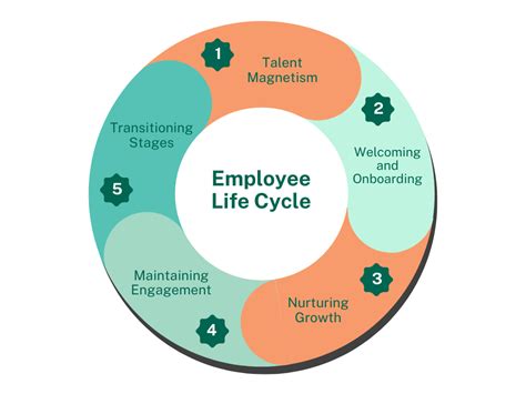 Hr Organizational Life Cycle